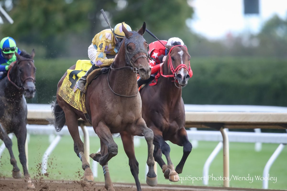 Diamond Oops' Connections Will 'Flip A Coin' Between Breeders' Cup ...