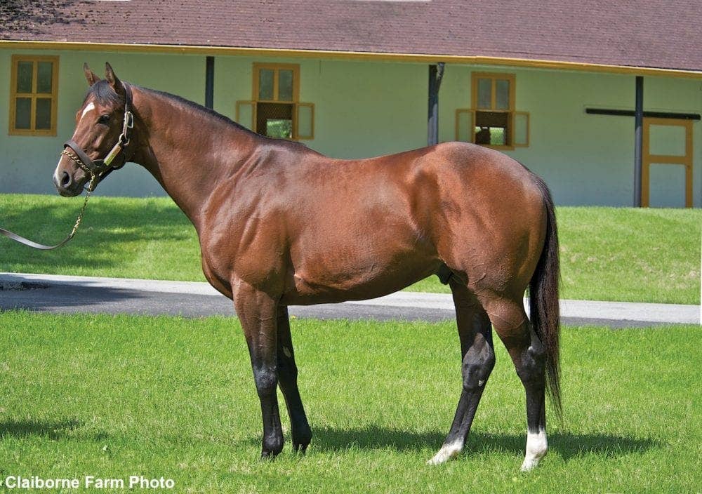 Stallion Spotlight: Claiborne Farm's Walker Hancock and Bernie Sams On ...