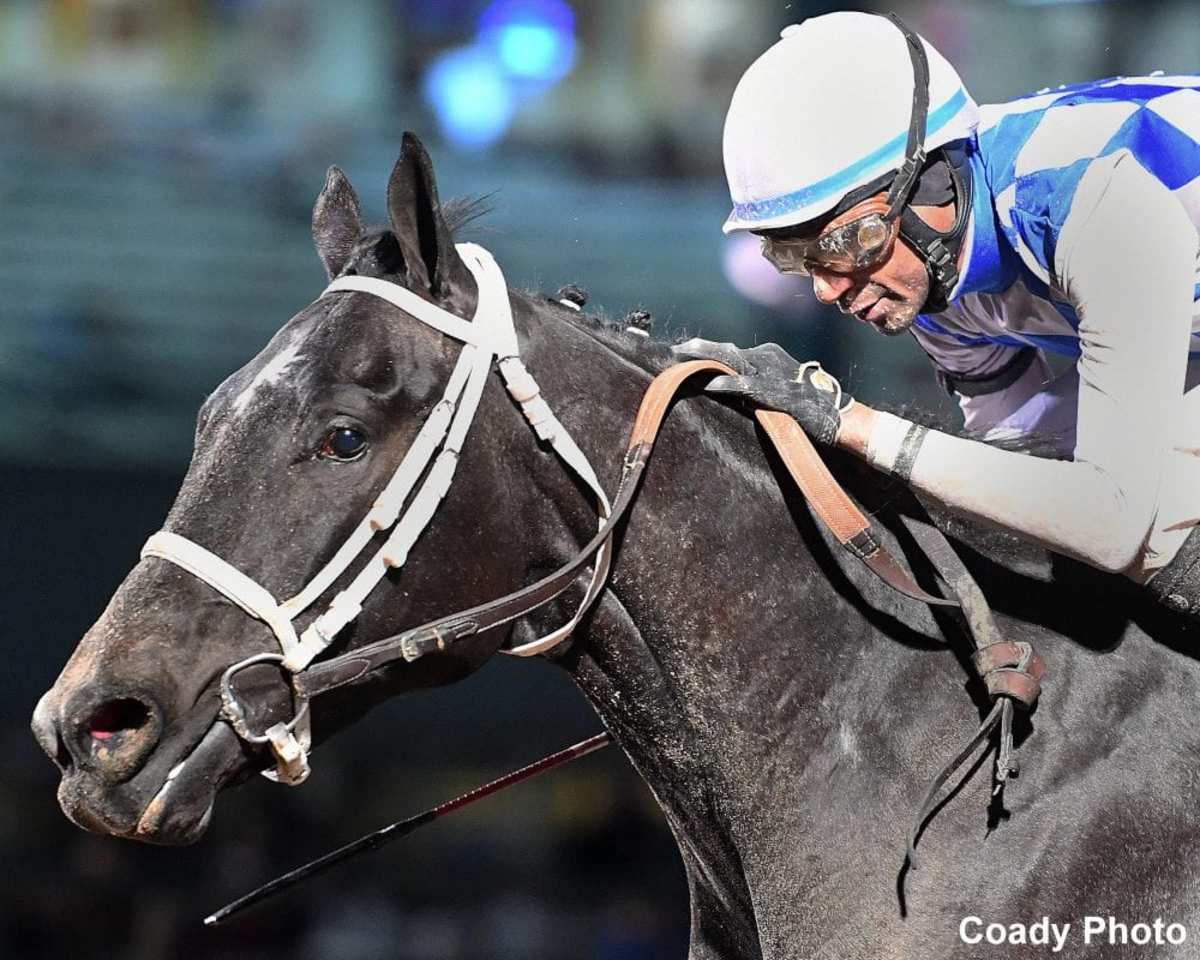 Saturday At Sam Houston: Picks And Analysis By Chris Griffin And Fred ...