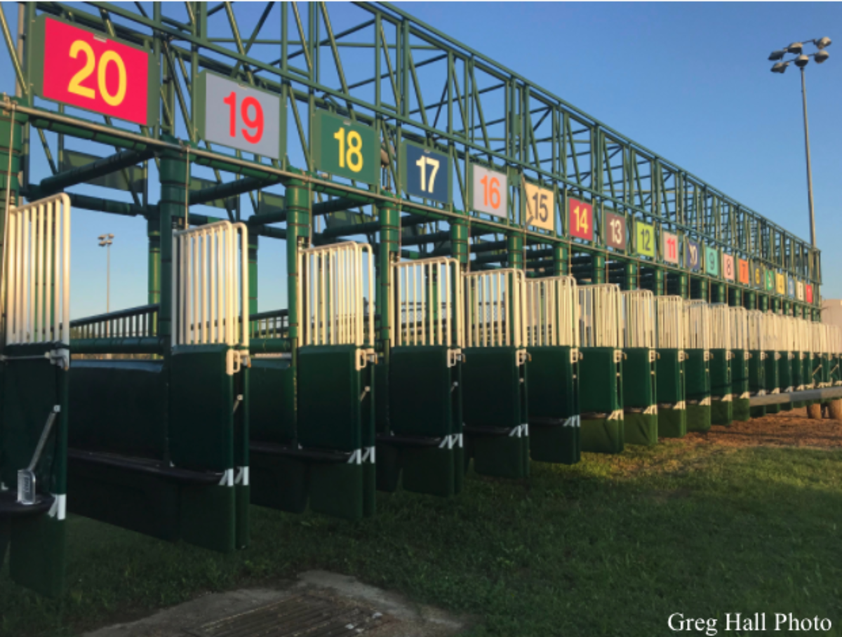 The Magic Number: How Did We Arrive At 20 Kentucky Derby Starters ...