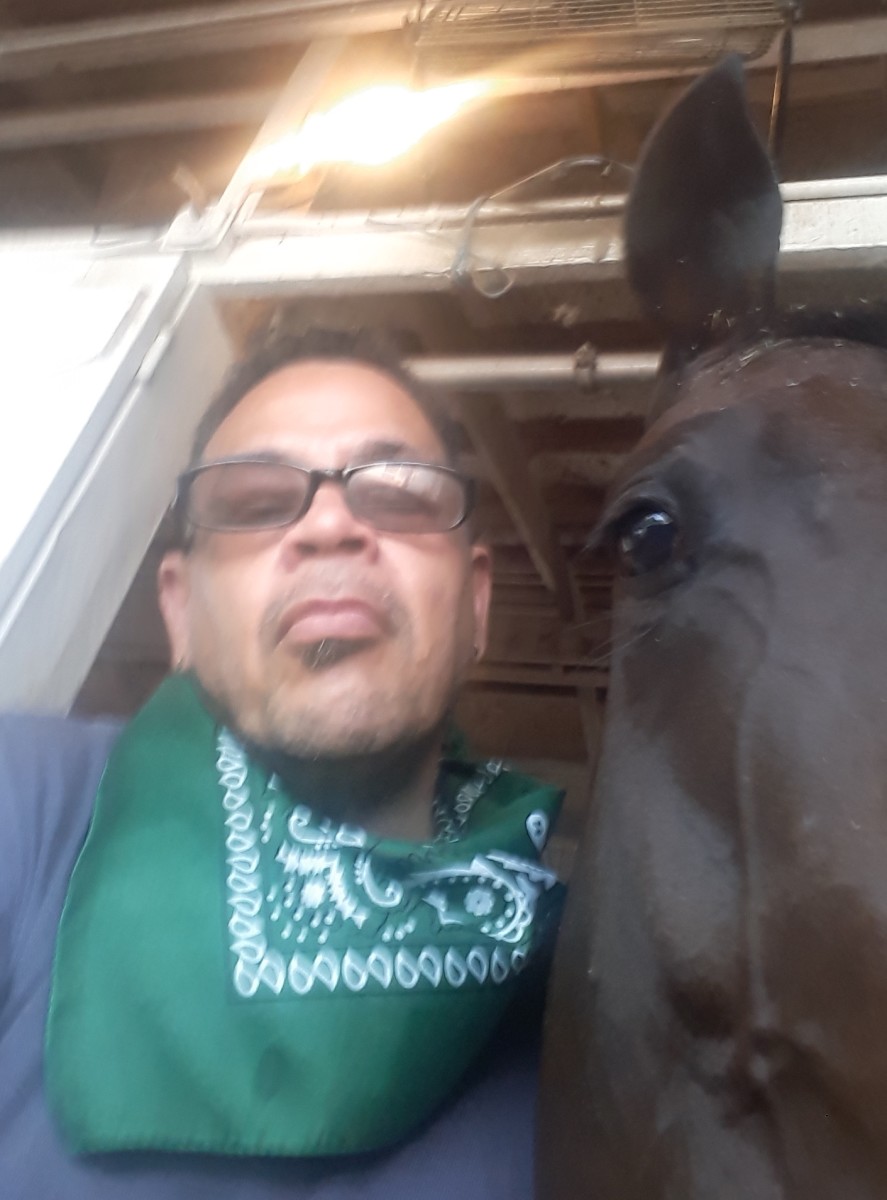 Kirkpatrick & Co Presents In Their Care: Horses Are The Best Medicine ...