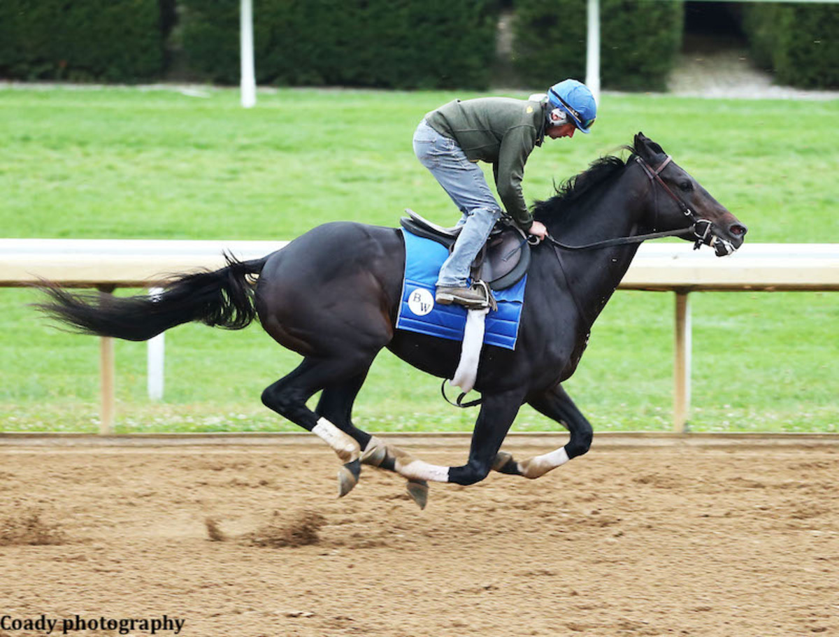 'He's Matured Beautifully': Undefeated Maxfield Returns To The Races In ...