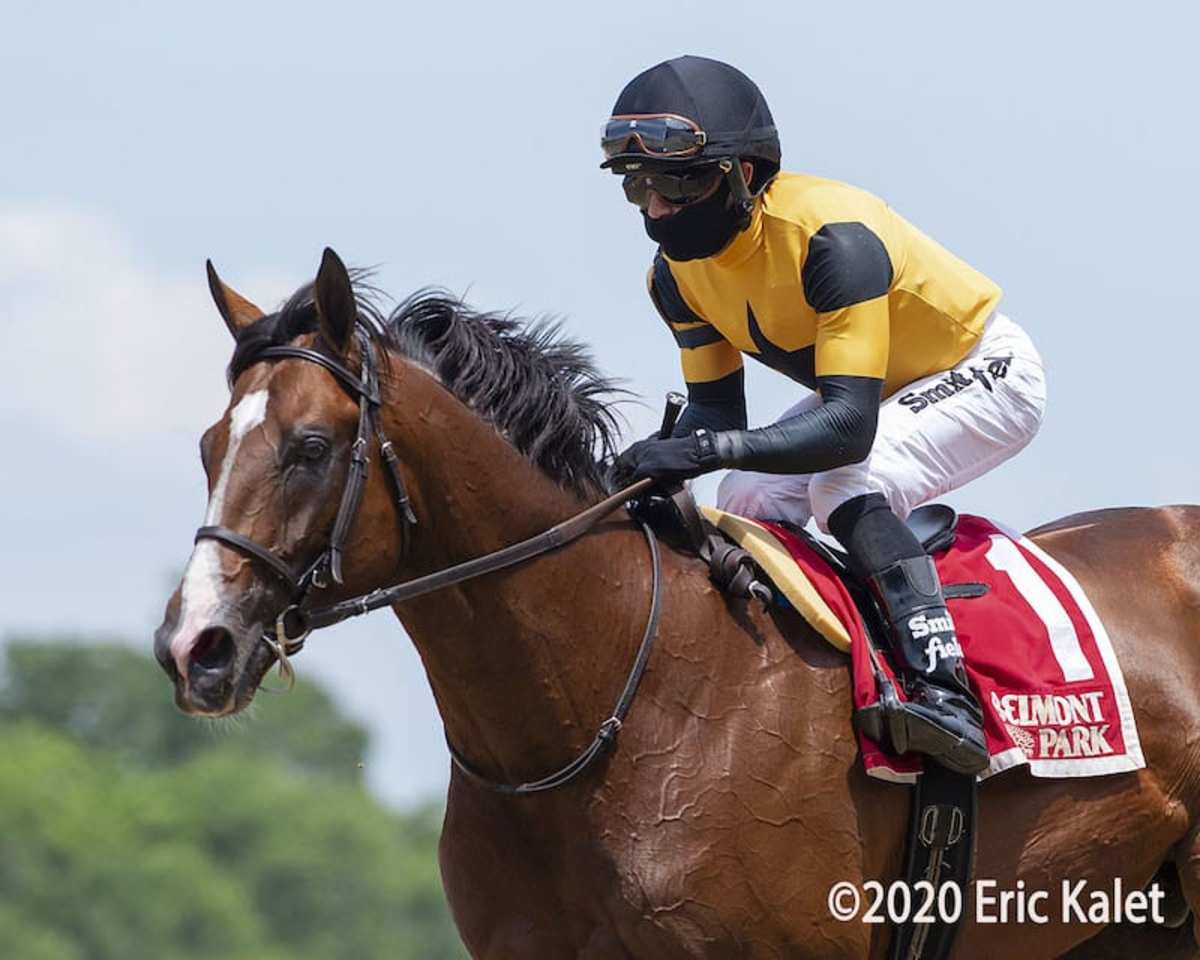 Decorated Invader Takes On Stablemate Gufo In Saturday's Hall Of Fame ...