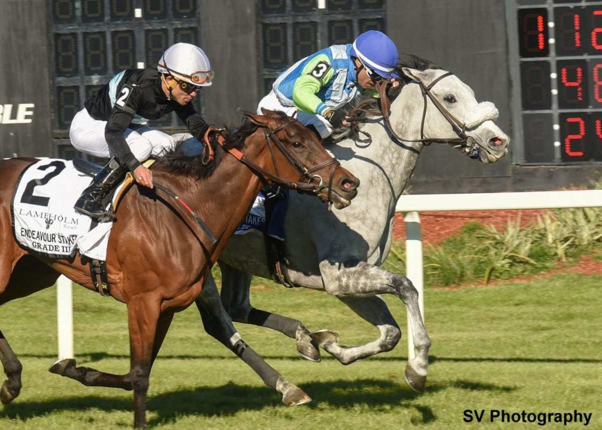 Jehozacat Springs The Upset In Endeavour; Got Stormy Finishes Fourth ...