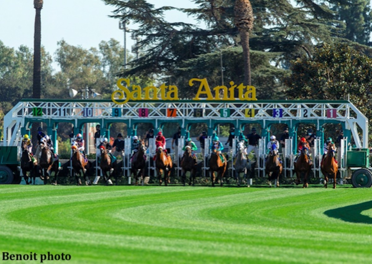Santa Anita Turf Course Undergoes Annual Renovation - Paulick Report ...