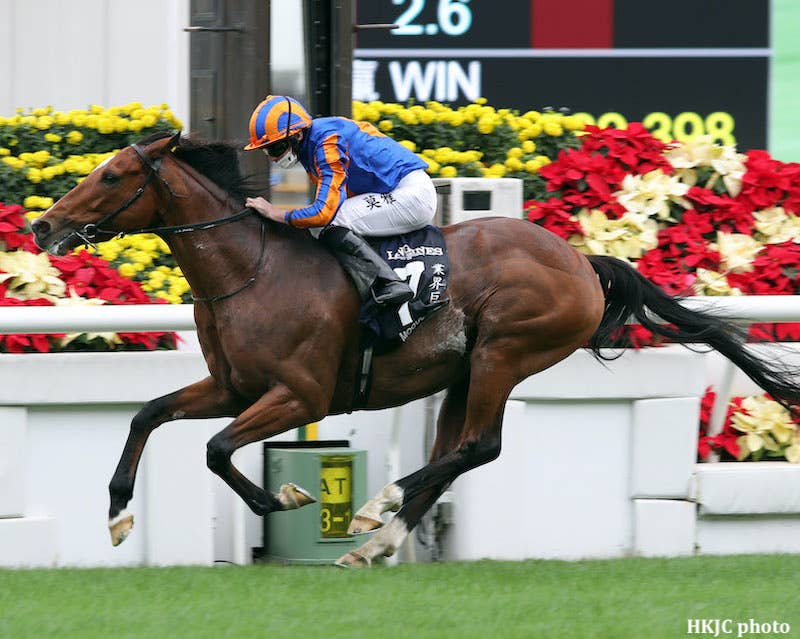 International Group 1 Winner Mogul A Strong Lone Entry For Coolmore On ...
