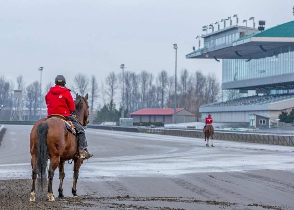 Emerald Downs Announces 50-Day Live Race Meet For 2021 - Paulick Report ...