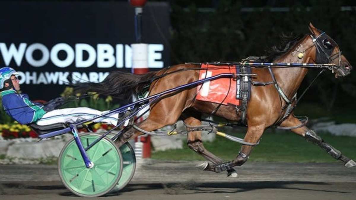 LED The Way: Woodbine Mohawk Park Plans To Replace Track Lighting ...