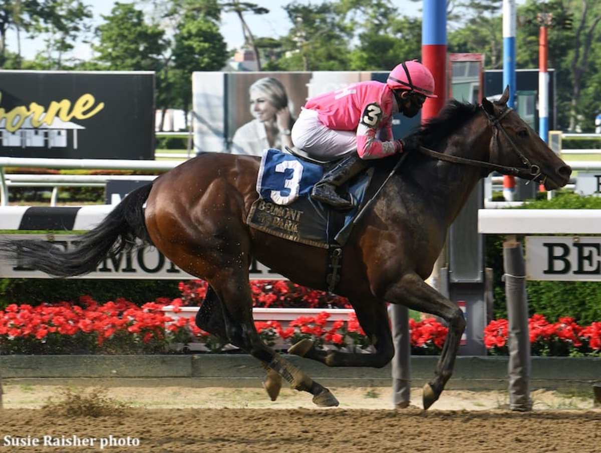 No Joke: Funny Guy Gets 101 Beyer Speed Figure With Commentator Win ...