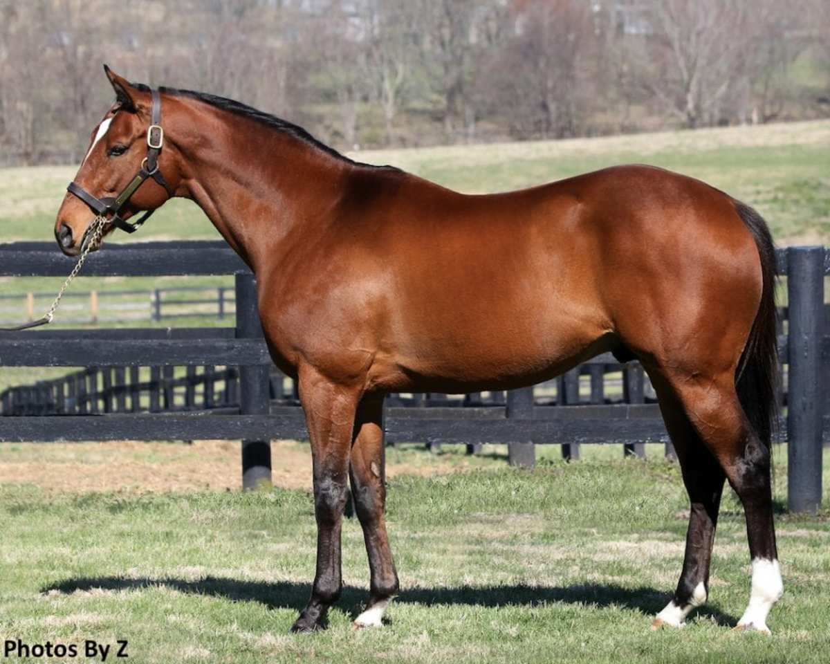 First Winner For Crestwood Farm's Texas Red Comes At Santa Anita ...