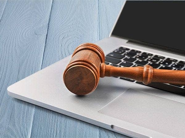 Bidding Now Open For Fasig-Tipton 2025 January Digital Sale - Paulick ...