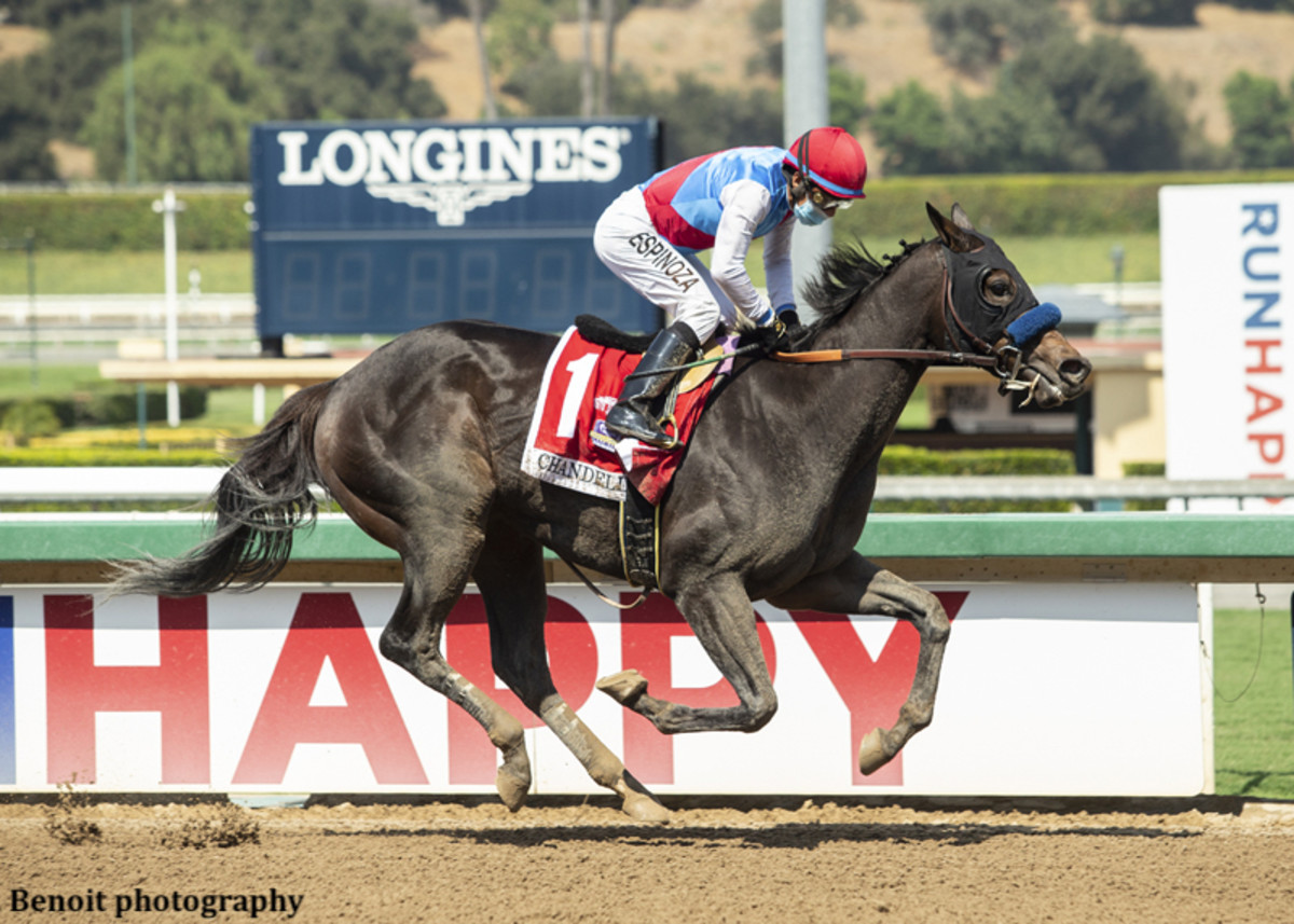 Princess Noor Retired After Suffering Soft-Tissue Injury In Starlet ...