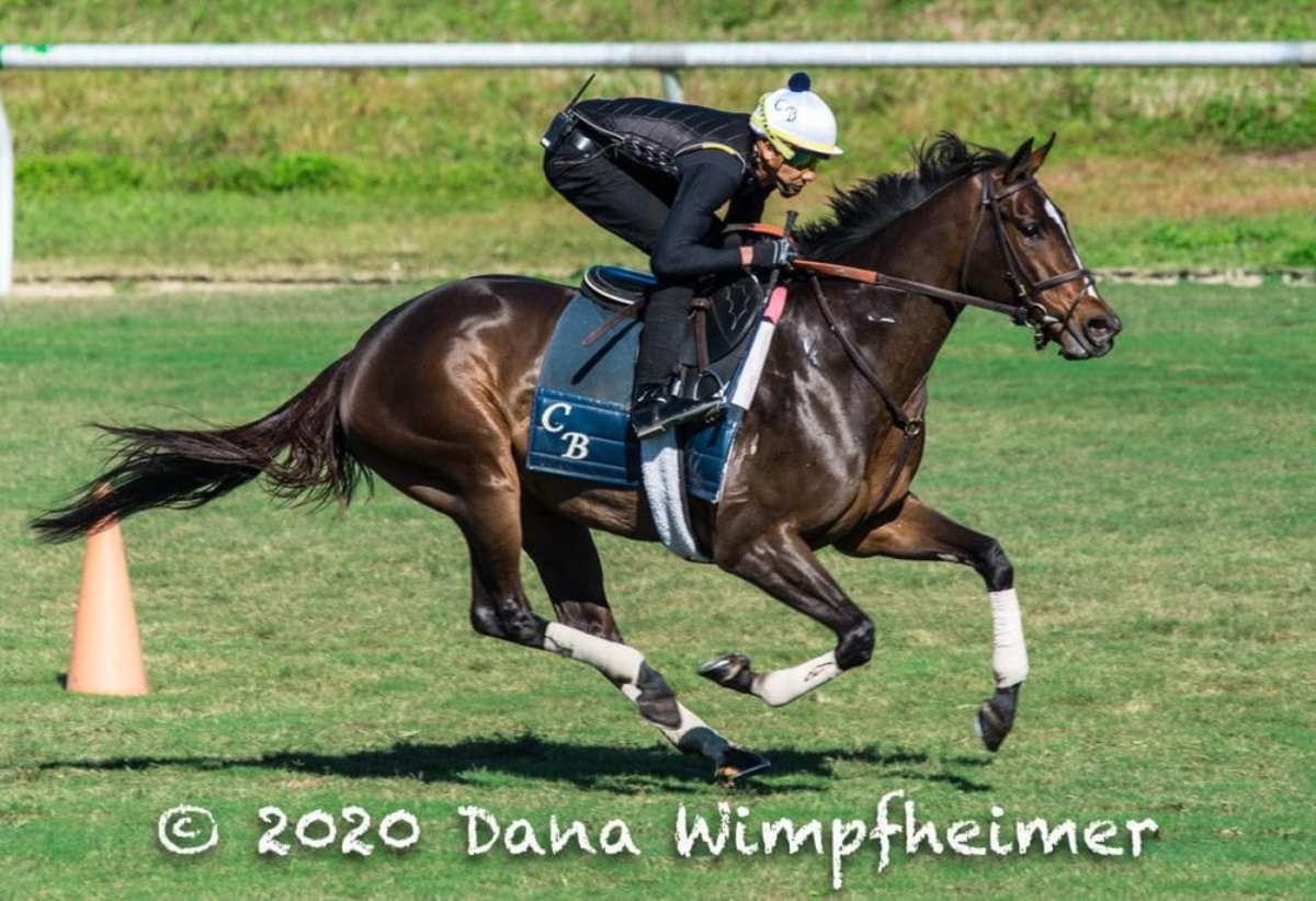 Lucky 13? Brown Puts Breeders' Cup Arsenal Through Final Rehearsals In ...