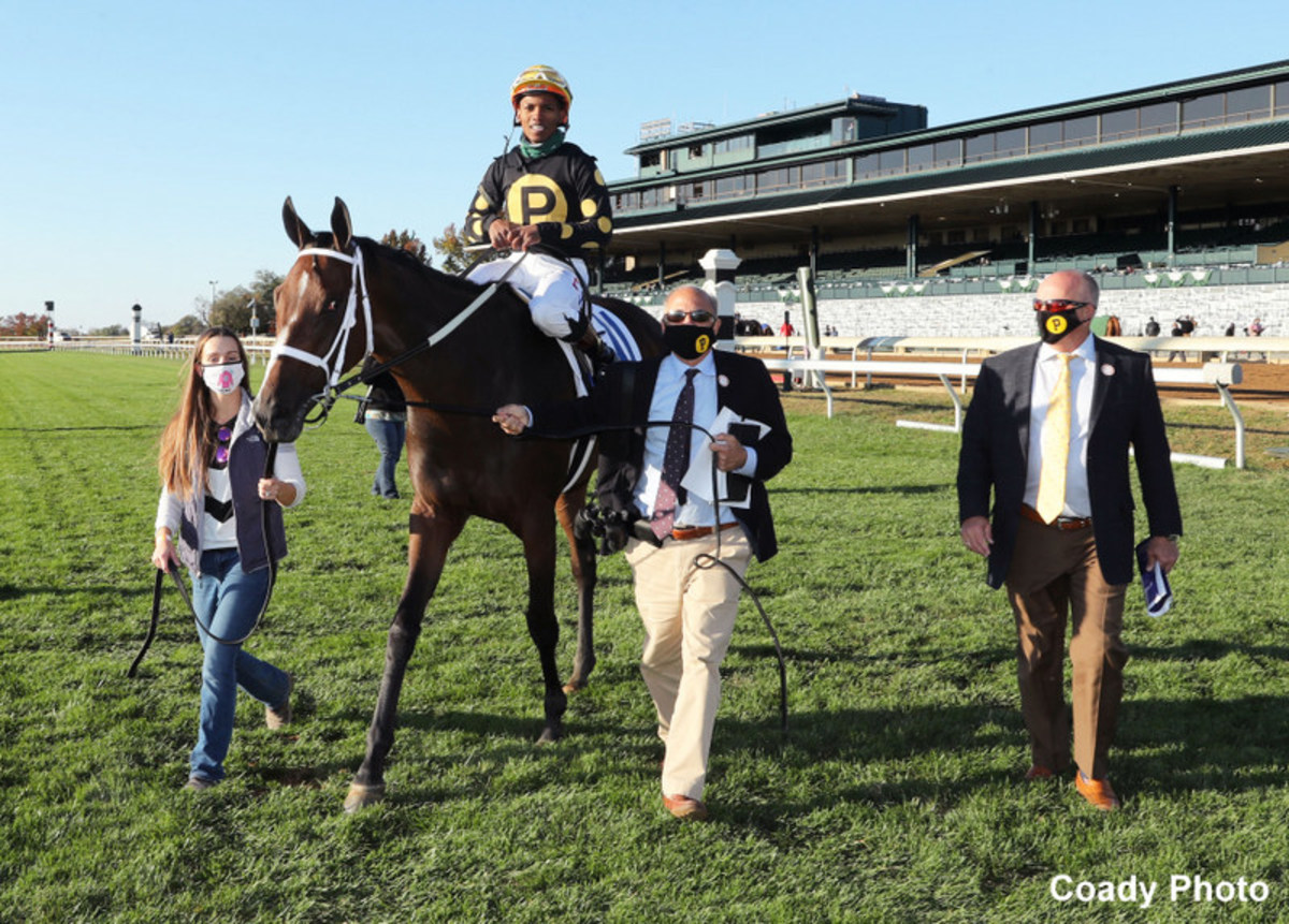 Stunning Sky Rallies Late To Capture Valley View Stakes - Paulick ...