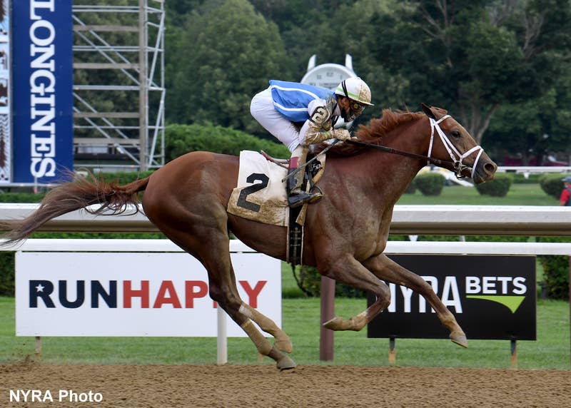 Pletcher-Trained Happy Saver Targeting Jockey Club Gold Cup; Dr Post To ...