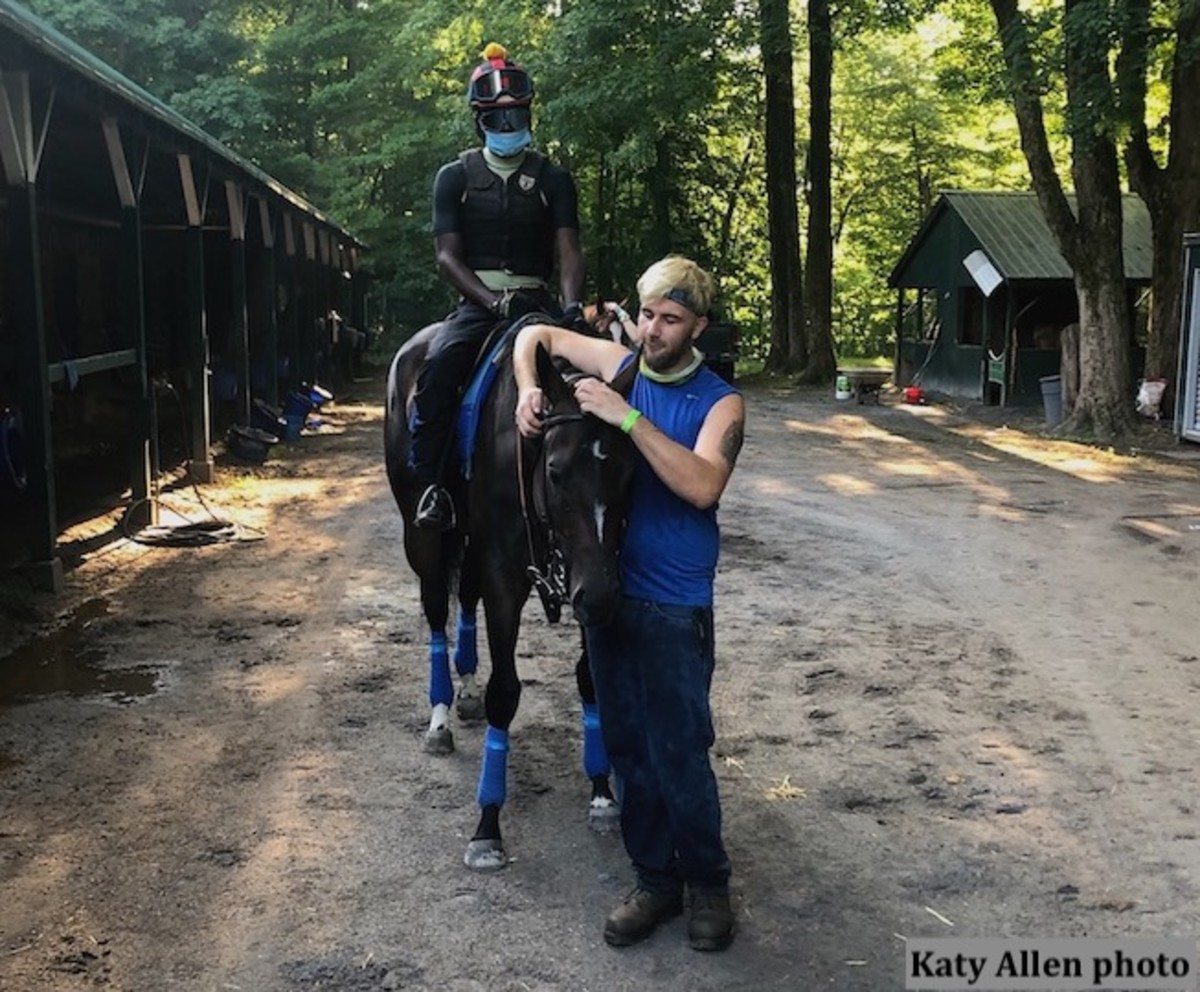 Kirkpatrick & Co Presents In Their Care: For Enger, Horses Provide ...