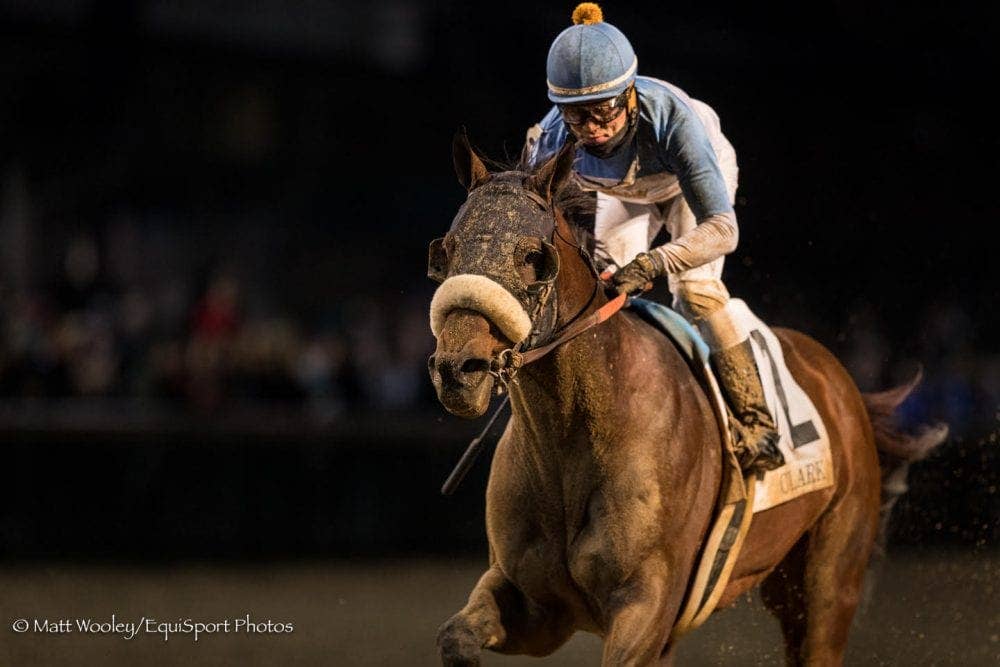 Goosebumps First Winner For Tom’s d’Etat - Paulick Report | Latest news ...