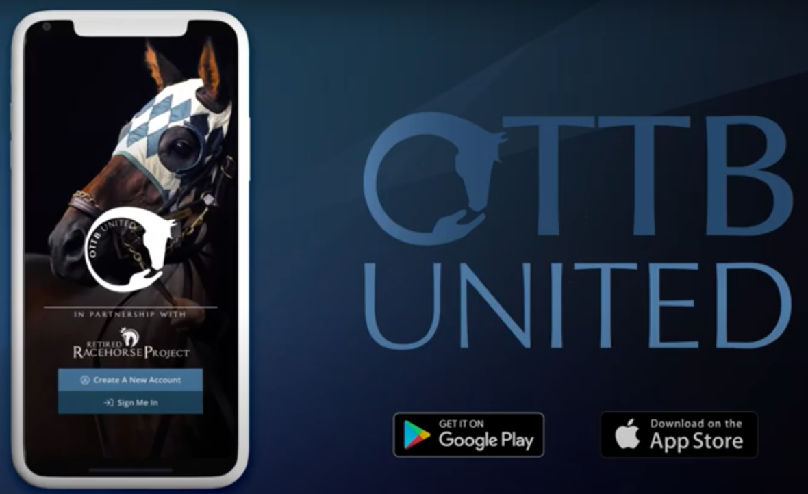 OTTB United App Will Bring Together Retired Racehorse Buyers, Sellers ...