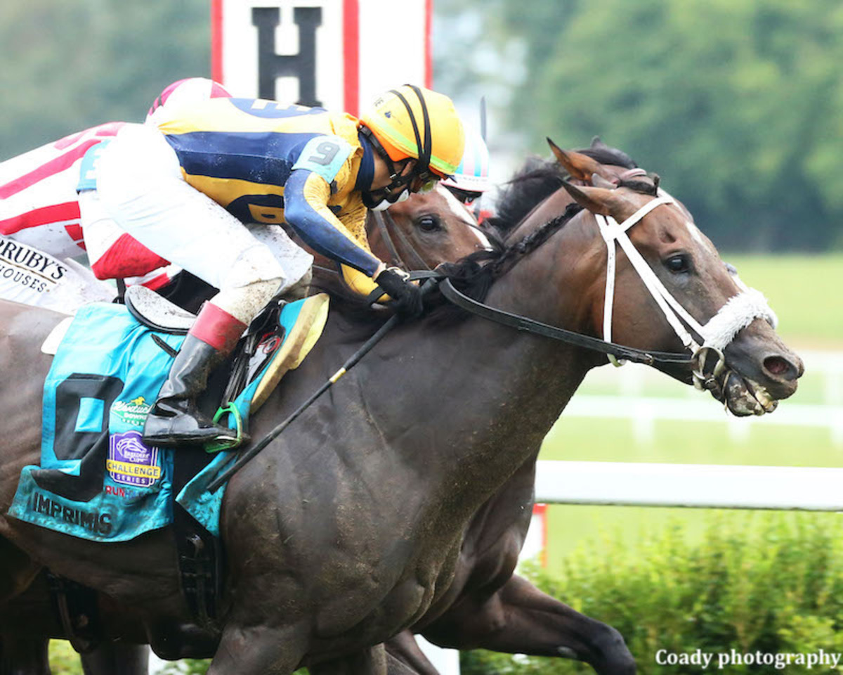 Imprimis Earns Breeders' Cup Turf Sprint Berth With Hard-Fought Victory ...