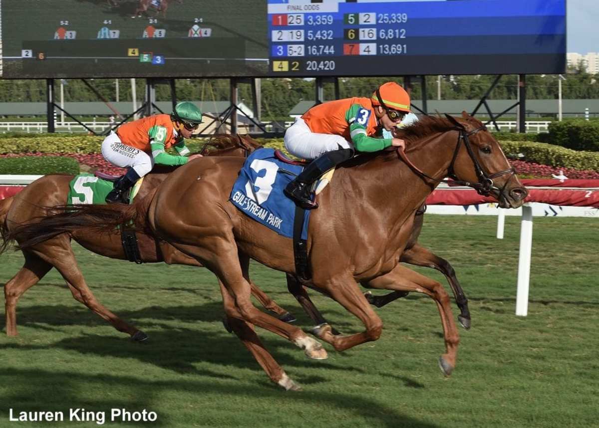 Bloodlines Presented By The Virginia Thoroughbred Association: Racing ...