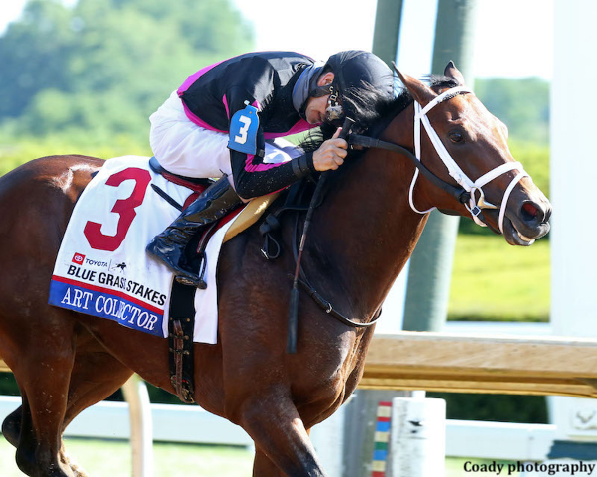 Art Collector Emerges As Kentucky Derby Contender With Blue Grass ...