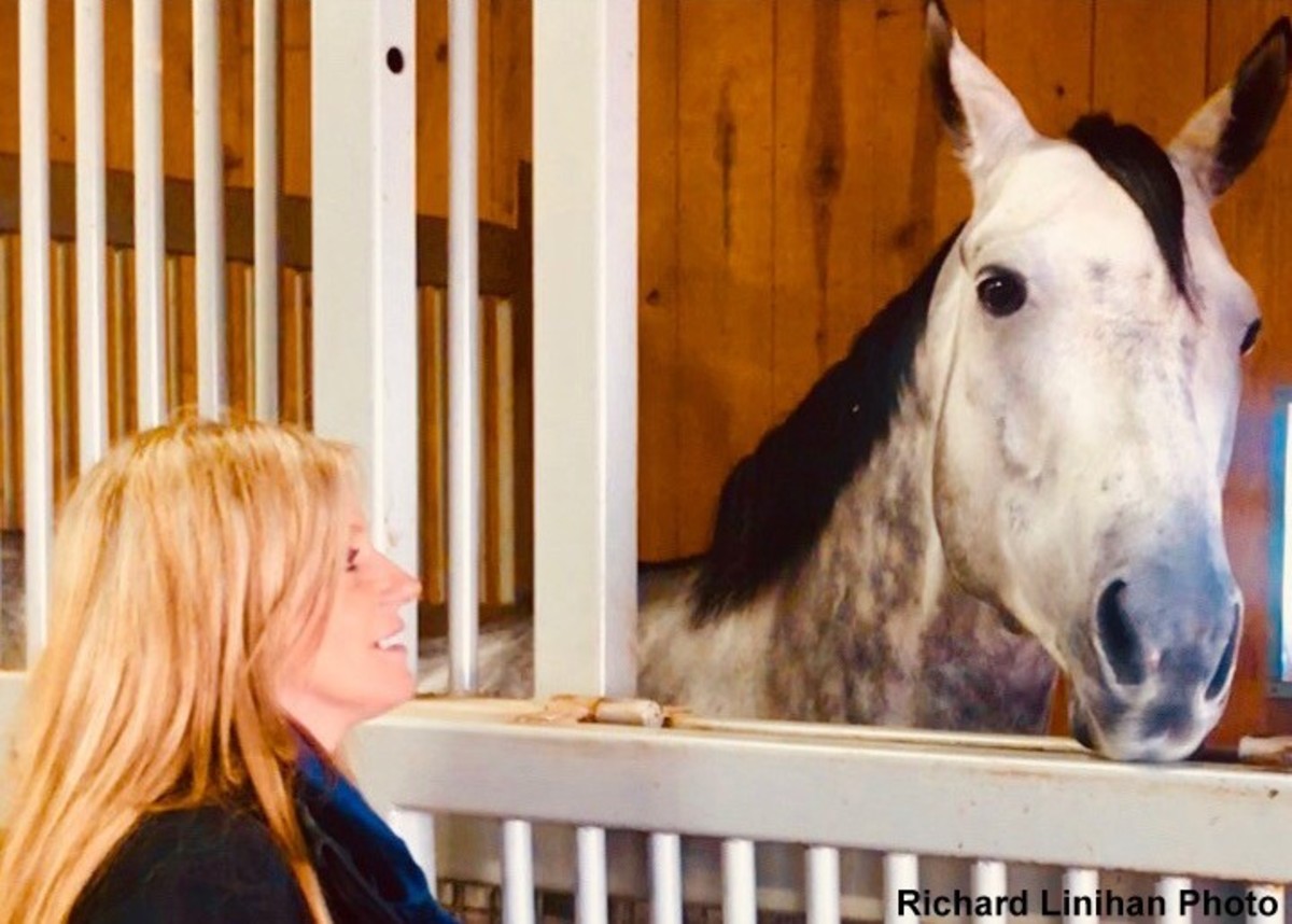 'So Proud Of Him': Welder Continues Assault On Remington Park Record ...