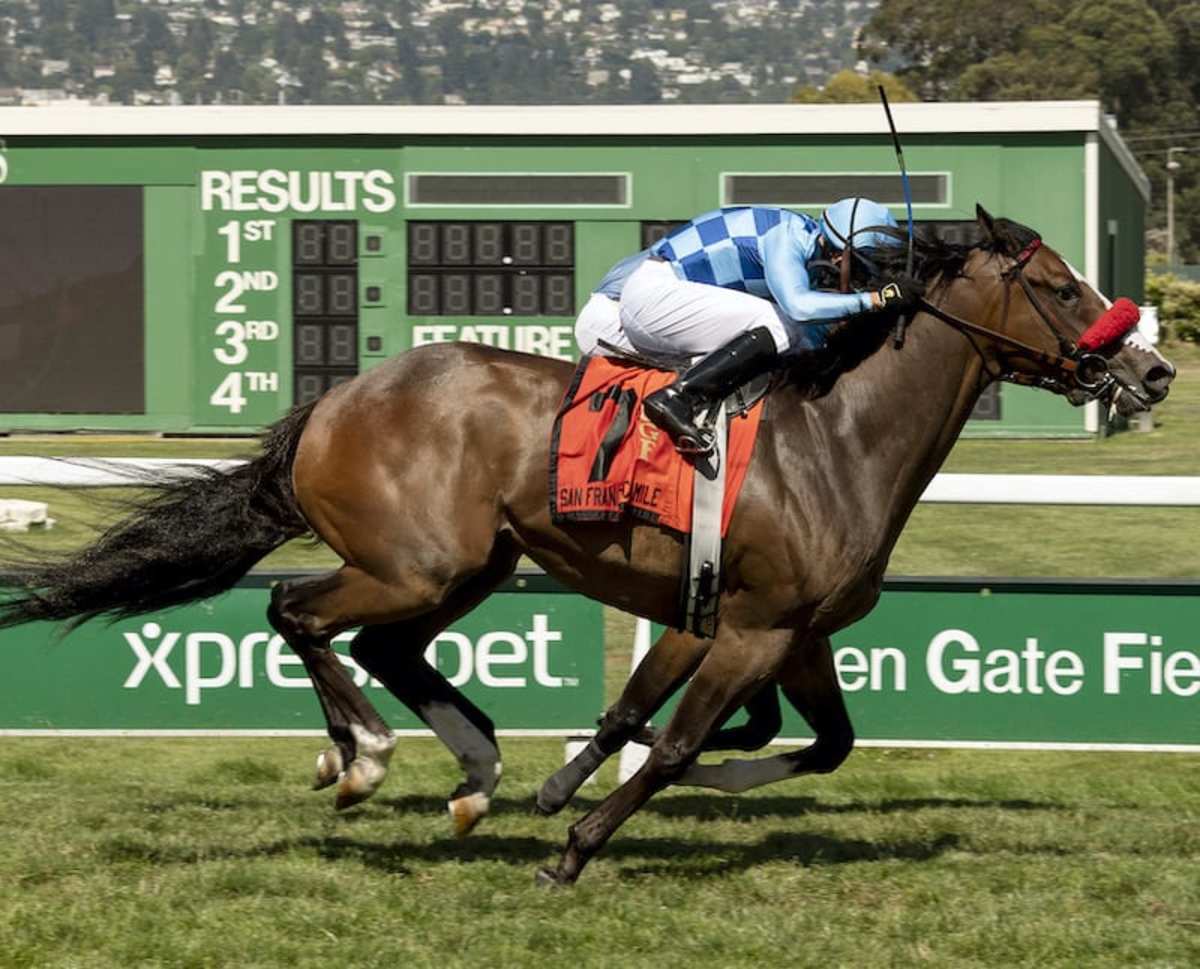 Neptune's Storm Wears Down Kiwi's Dream In San Francisco Mile - Paulick ...