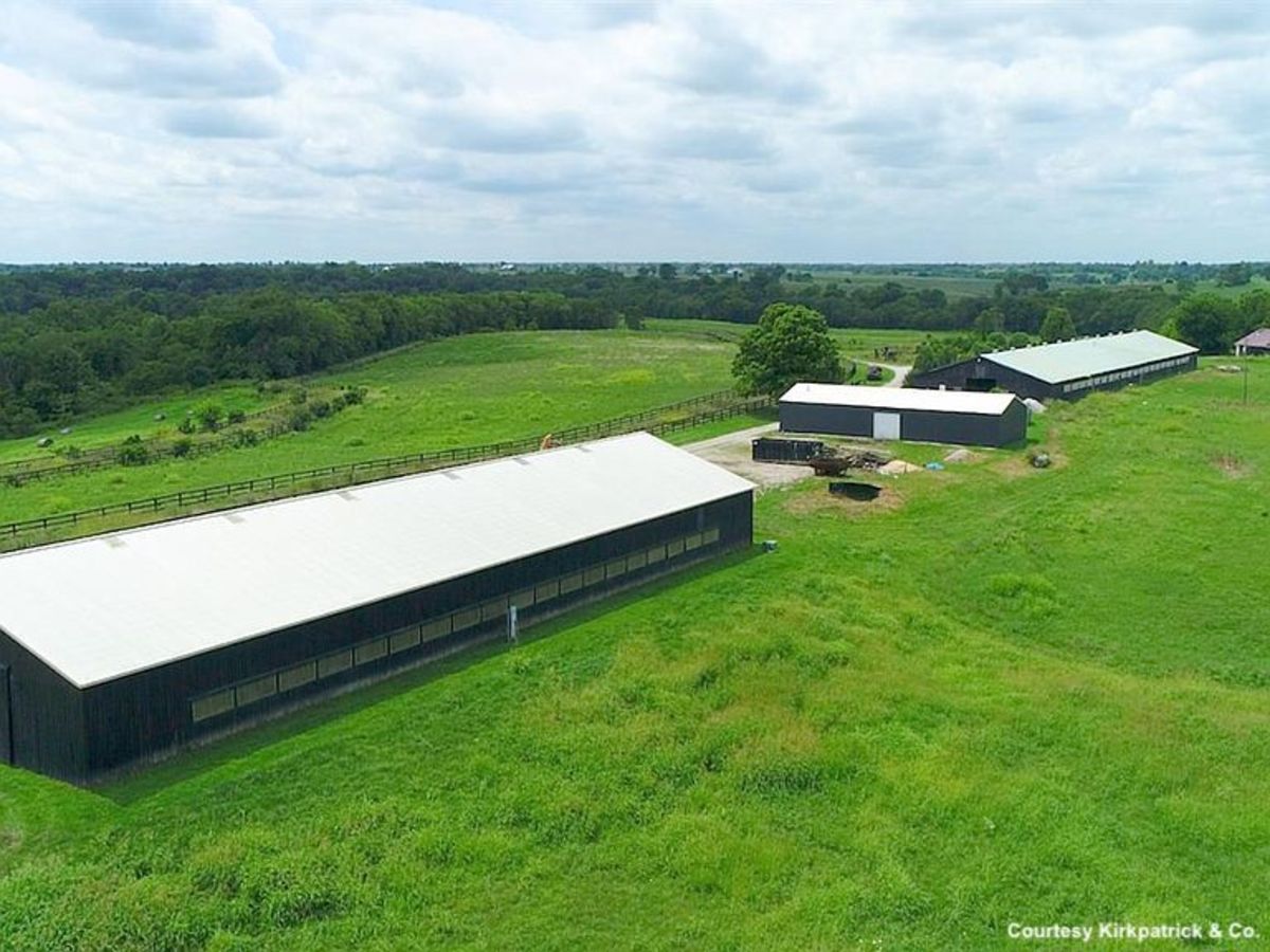 BTE Stables Purchases Portion Of Historic Golden Chance Farm - Paulick ...