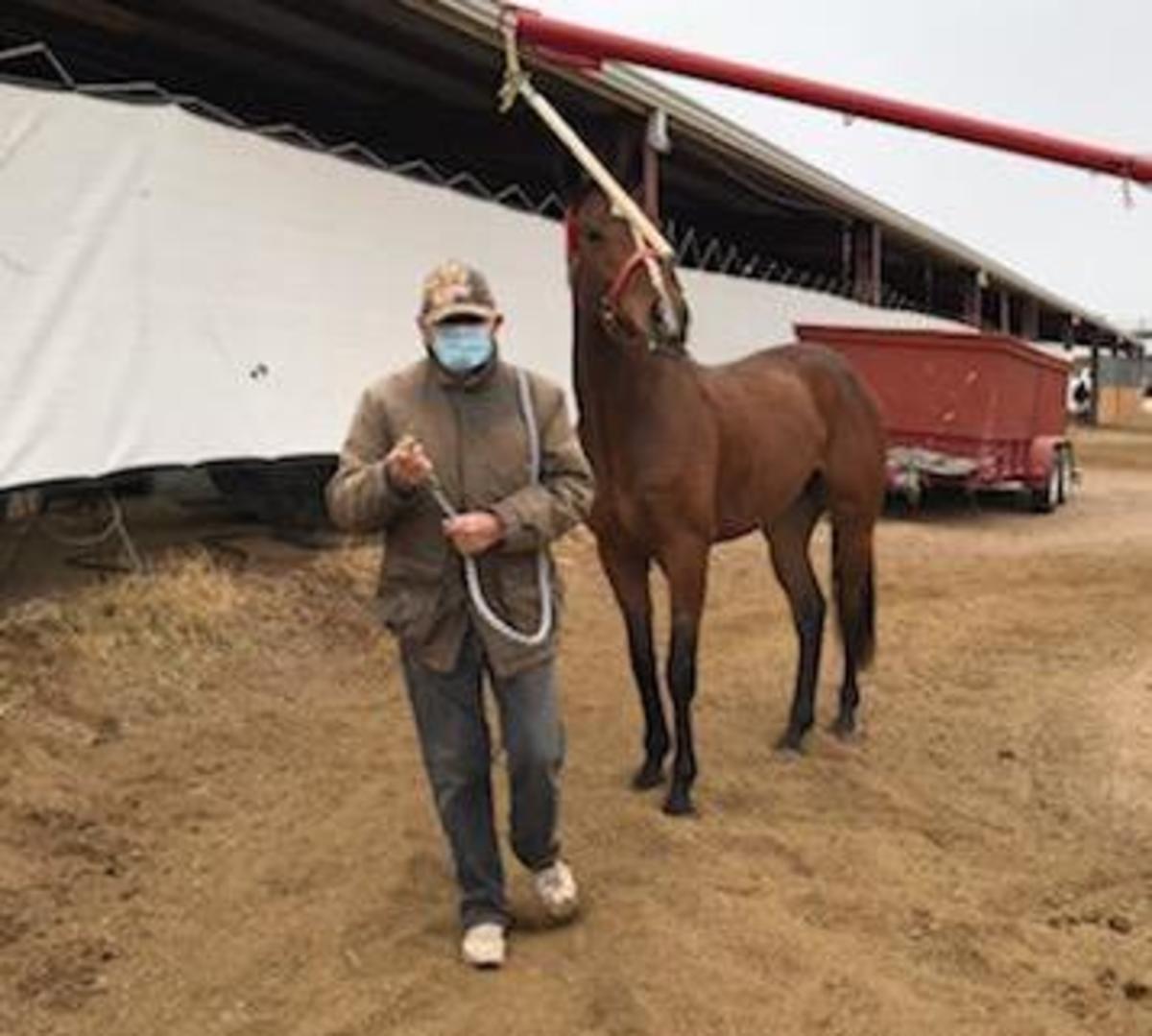 Breeders' Cup Connections: At 91 Years Young, Blue-Collar Trainer ...