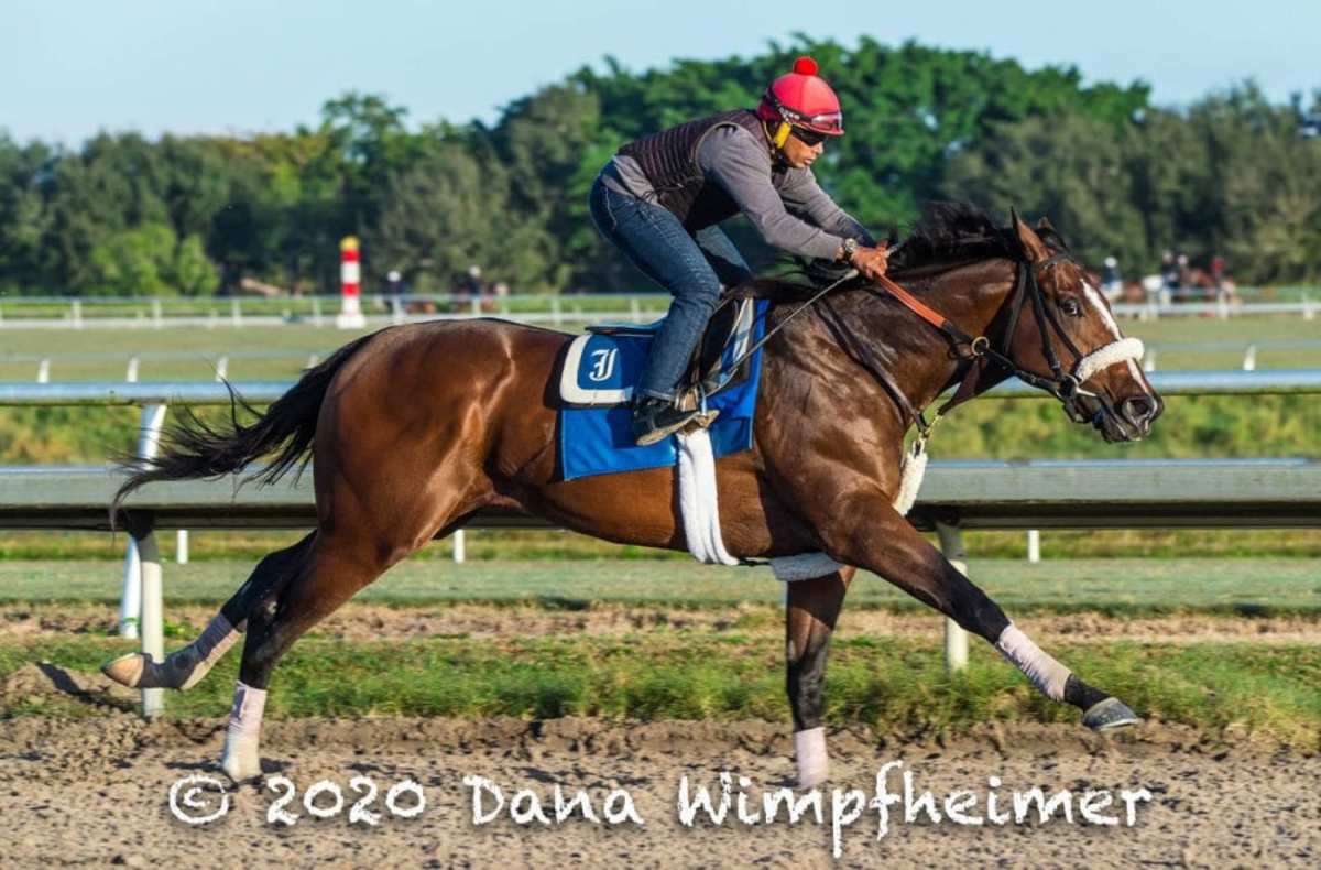 Green Light Go Brings Recent Form Into Saturday's Stymie - Paulick ...