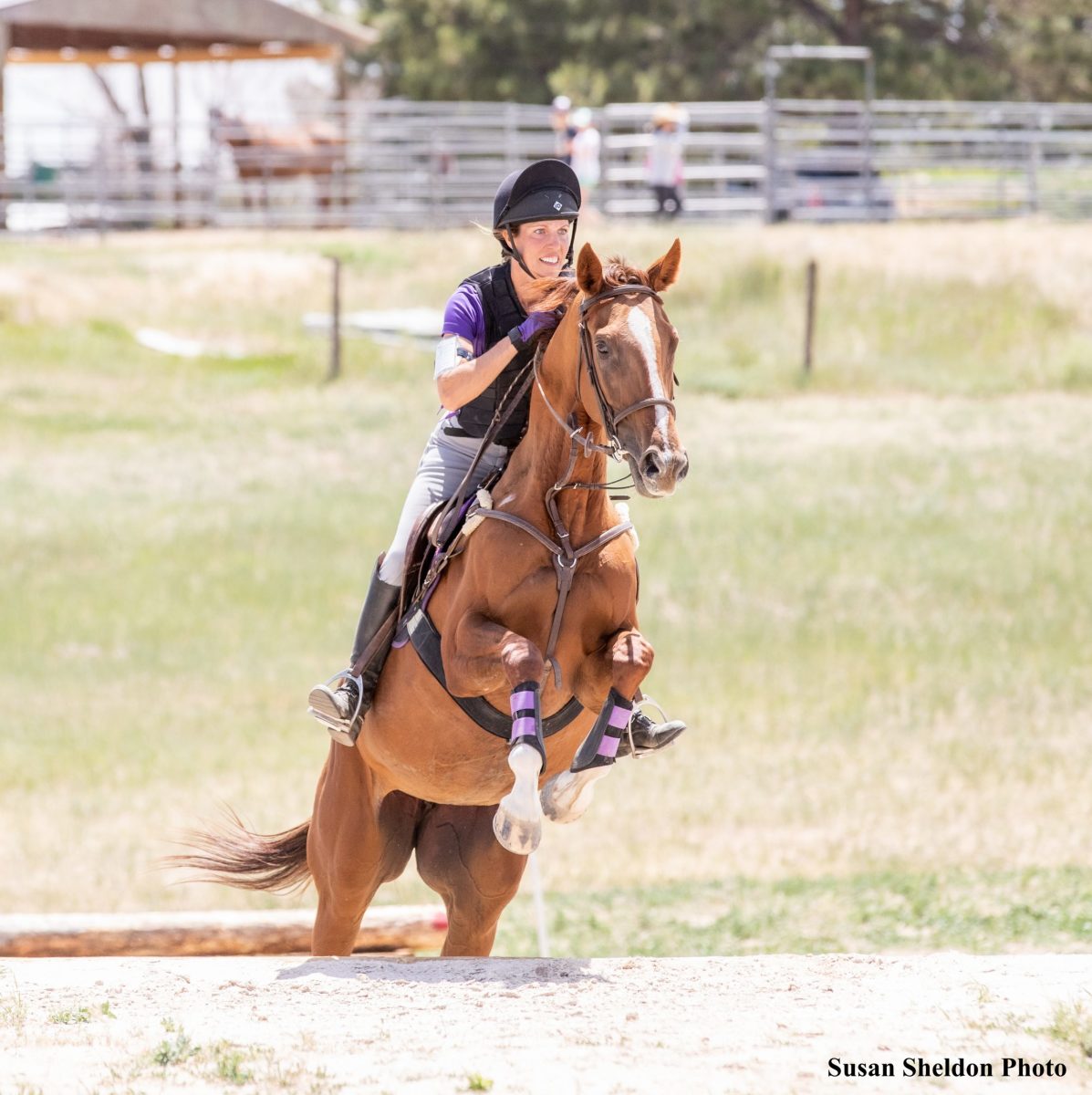 Thoroughbred Makeover Diaries Presented By Excel Equine: The No-Plan ...
