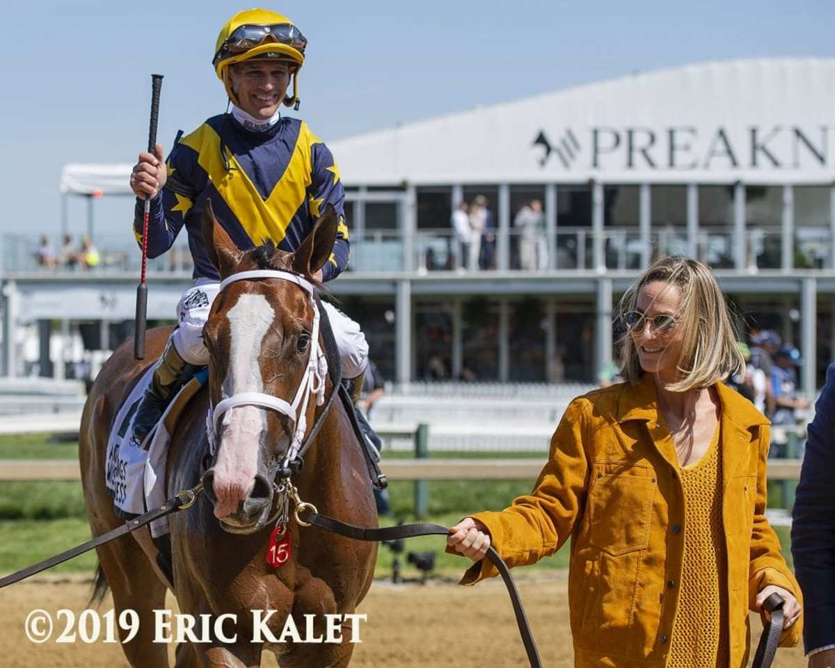 Dual Champion Covfefe Retired, To Be Bred To Constitution - Paulick ...