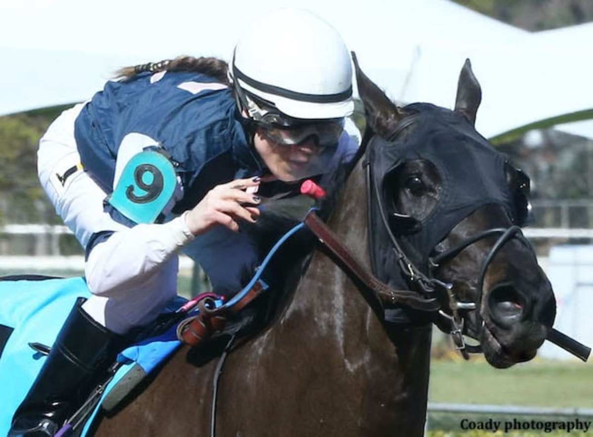 Breeders’ Cup Presents Connections: From Mixed Martial Arts To Horse ...