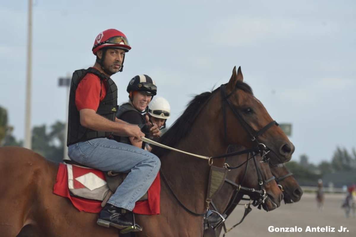 Kirkpatrick & Co. Presents In Their Care: Glass Takes Life's ...