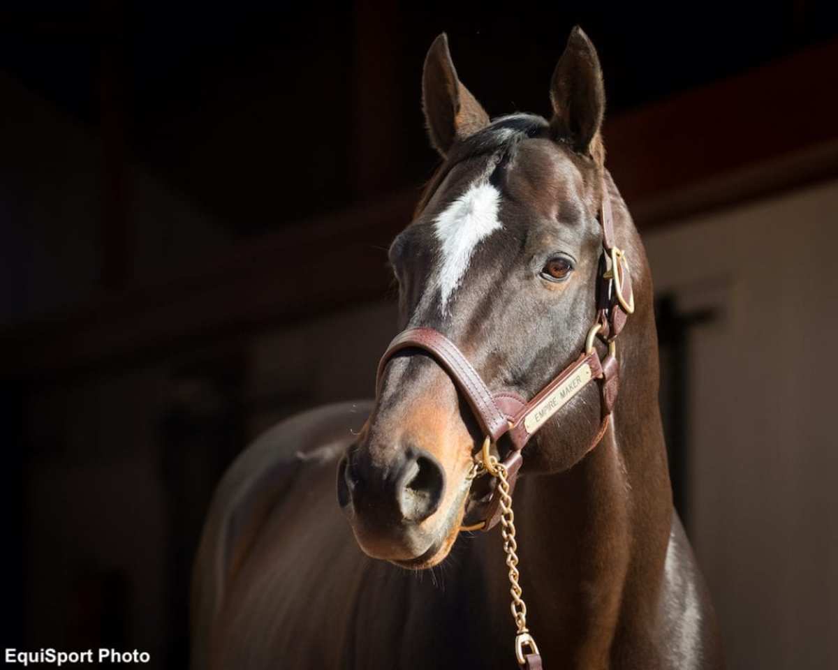 Classic Winner, Sire Empire Maker Dies At Age 20 - Paulick Report ...