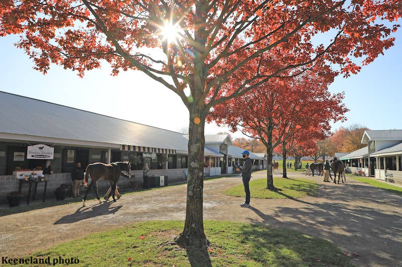 Nine Horses Of Racing Age In Latest Round Of Supplements To Keeneland ...