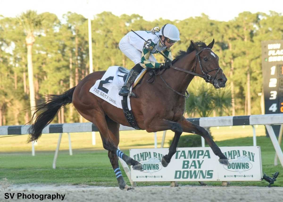 Sole Volante Shows Dirt Form, Defeats Independence Hall In Sam F. Davis ...
