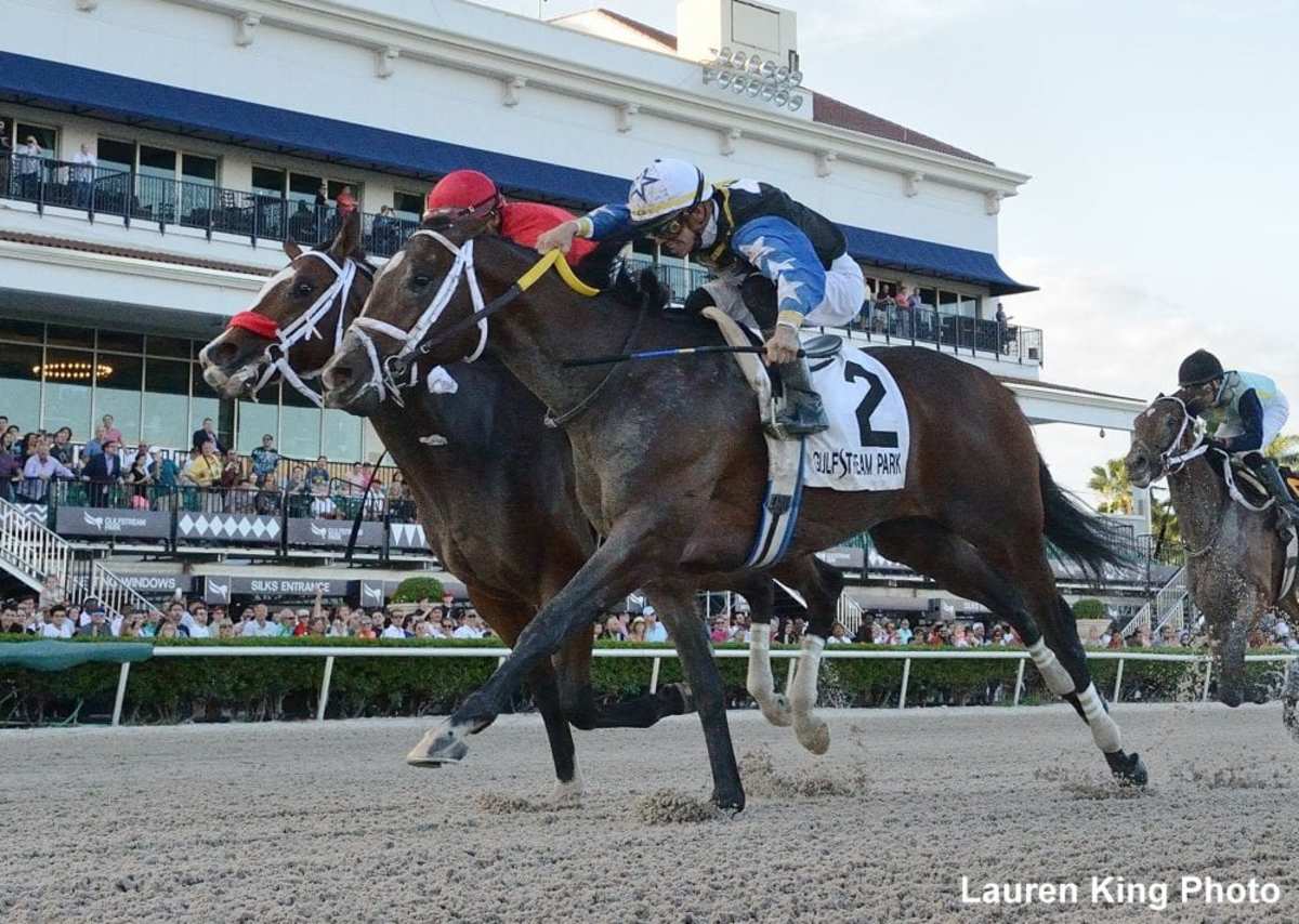 Chance It Moves To Willow Hill Equestrian In Virginia For 2025 ...