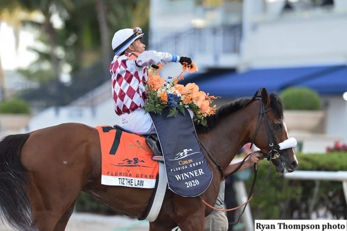 Contessa: Tiz The Law Could Be A Triple Crown Contender - Paulick ...