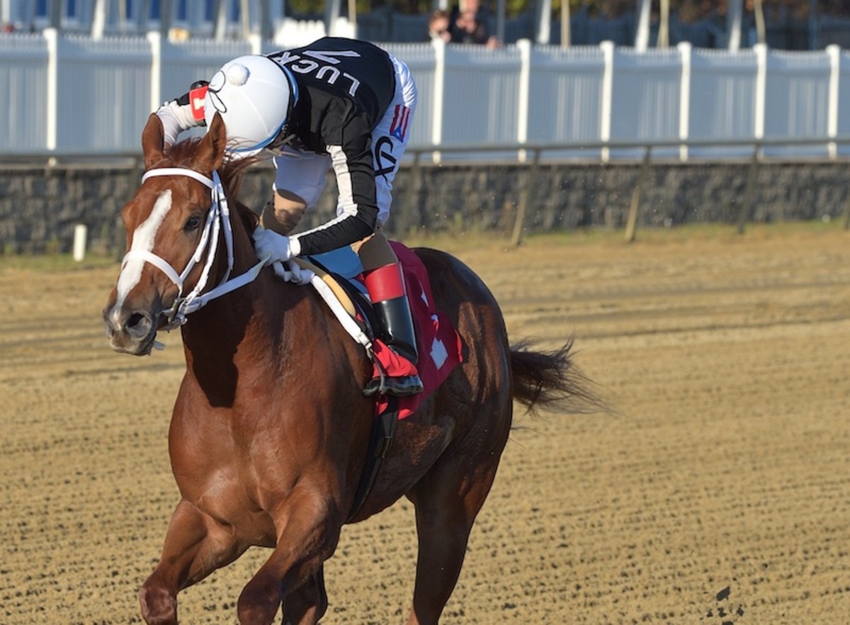 Jersey-Bred No Cents Invades Laurel For James F. Lewis III Win; Street ...
