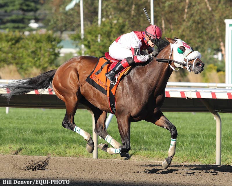 Peterson Notches First Stakes Win Aboard Share The Ride In Mr ...