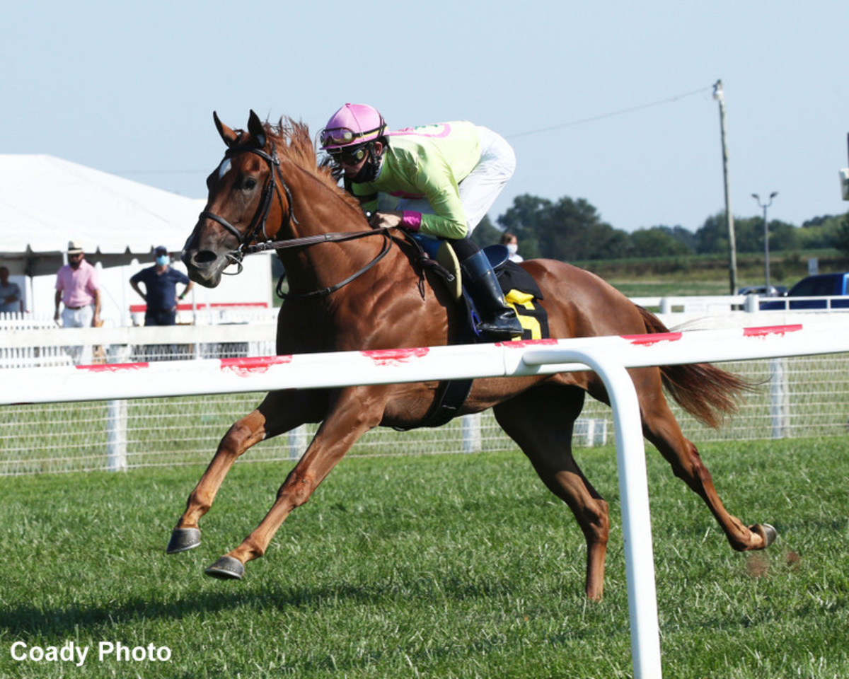 Kentucky Downs Stakes Winner Plum Ali Returns In Sunday's Miss Grillo ...