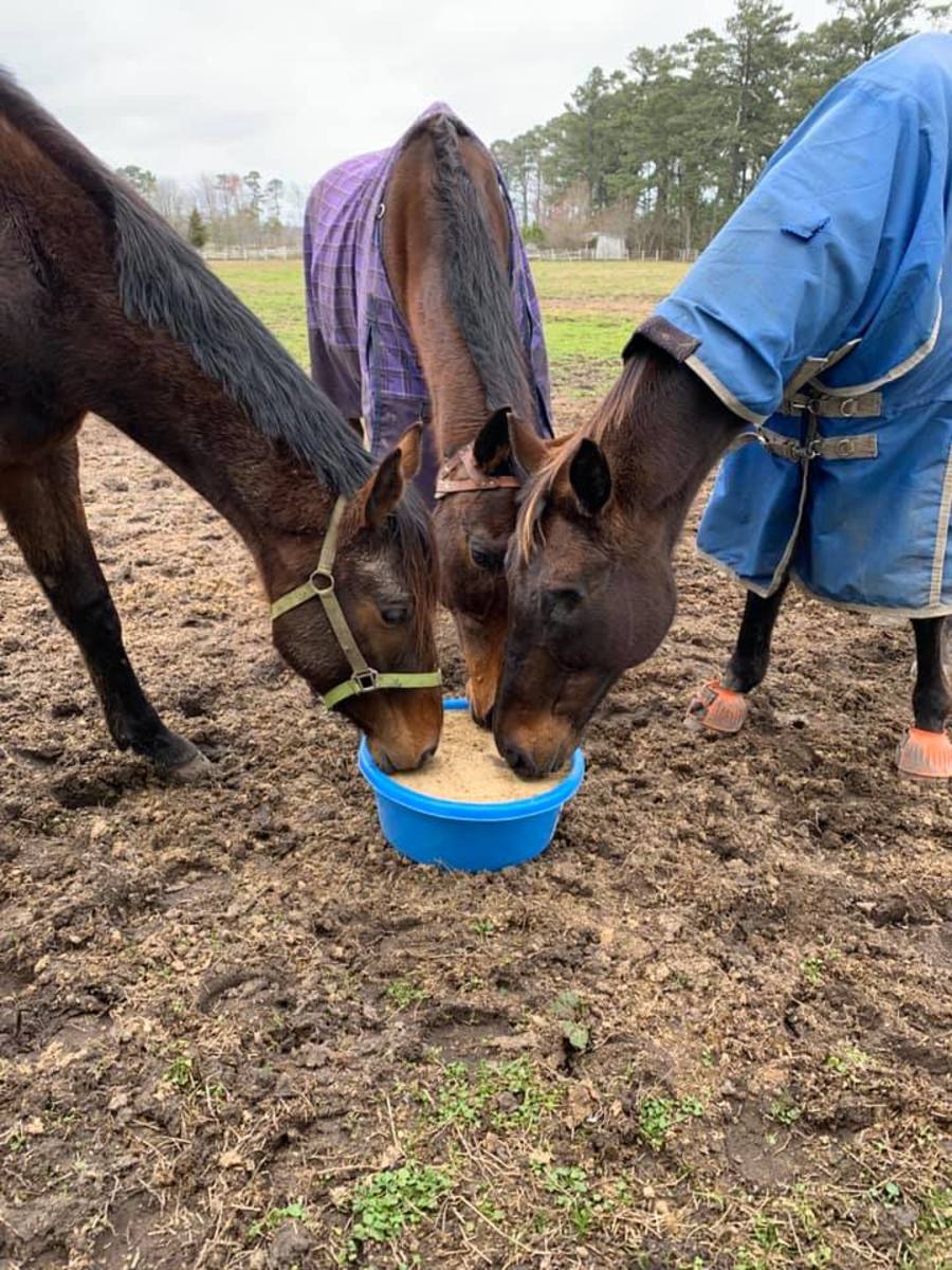 Lost And Found Presented By LubriSYN: Fifteen Years After Famous Jostle ...