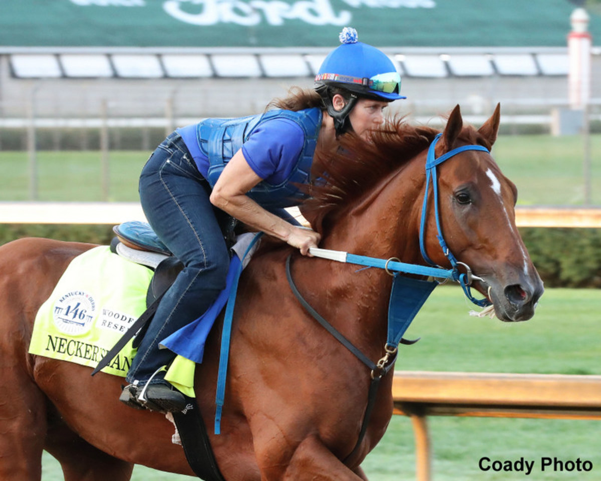 Kentucky Derby Runner Necker Island To Enter Stud At Breakway Farm In ...