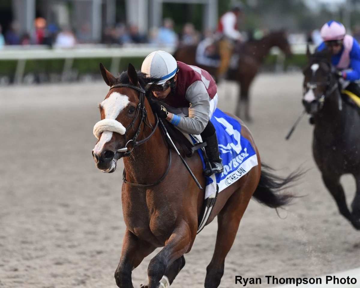 Nadal, Tiz The Law Close At 8-1 In Second Pool Of Kentucky Derby Future ...