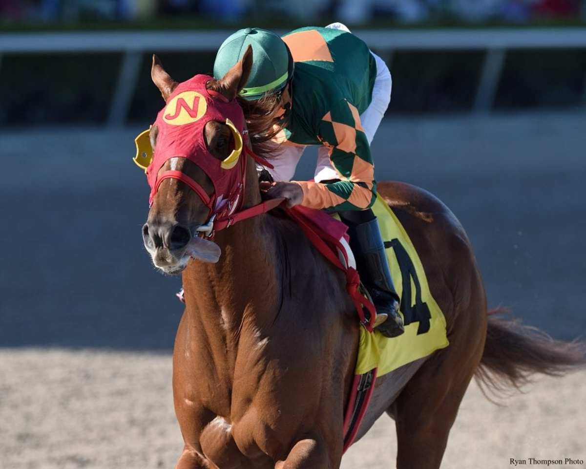 Navarro: Premier Star Is 'The Real Deal,' Headed To Florida Derby ...