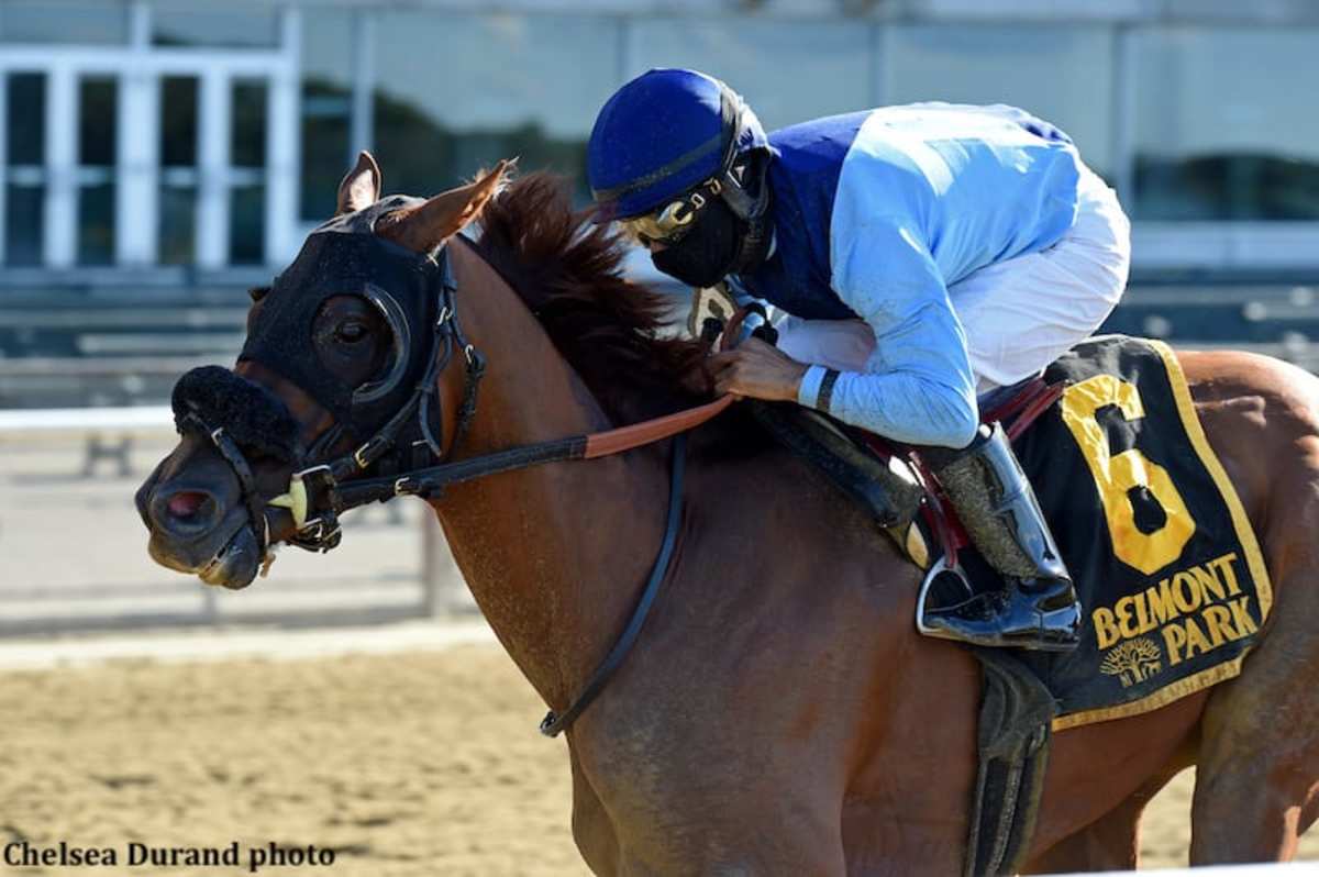 Captain Bombastic, Saez Team Up To Take Belmont's Mike Lee For New York ...