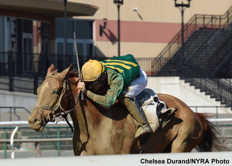 Royal Flag Flies Late To Capture Turnback The Alarm Stakes - Paulick ...