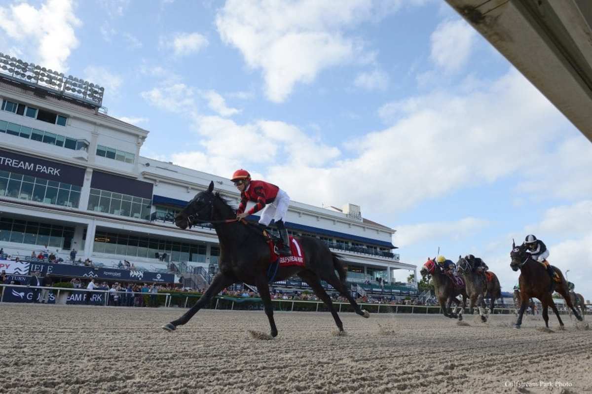 Extravagant Kid Back To Defend Title In Sunshine Sprint At Gulfstream ...