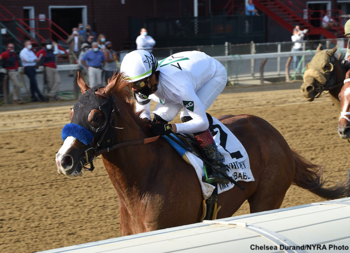 Bloodlines: Whitney Winner Improbable Hit The Mark For City Zip ...